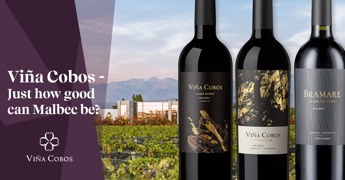 Viña Cobos – Just How Good Can Malbec Be?